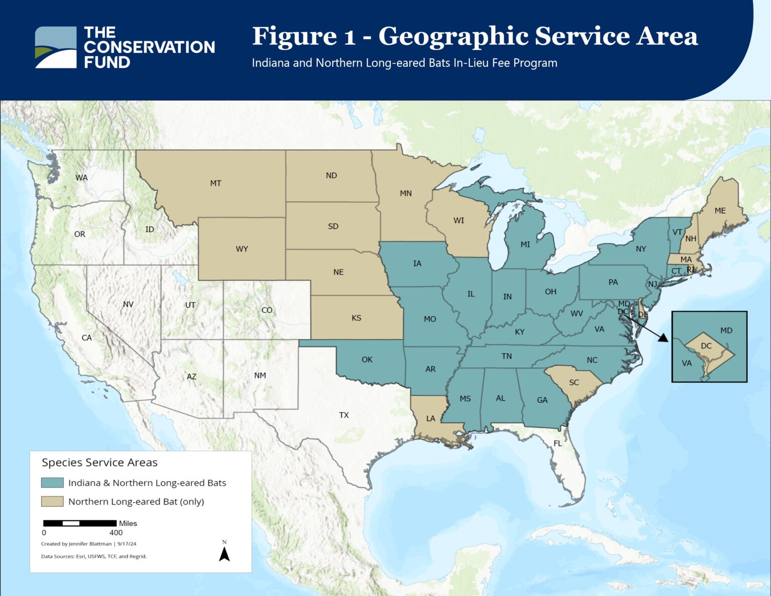 Helping Save Endangered Bats - The Conservation Fund