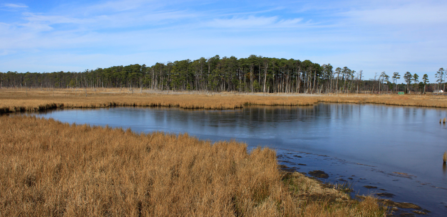 Sea Level Rise at Blackwater National Wildlife Refuge - The ...