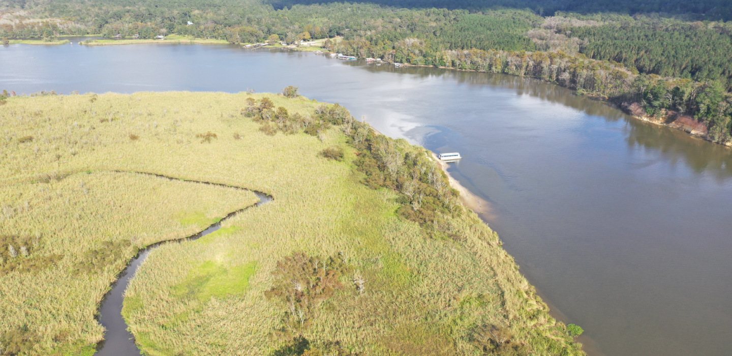 Preserving African American History at Fort Blakeley - The Conservation ...