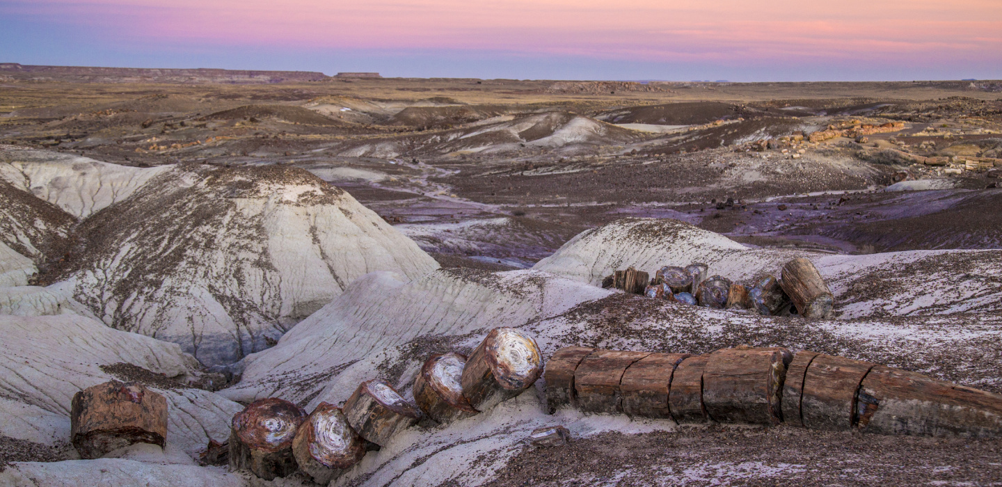 Petrified Forest National Park Unesco The Petrified Forest National