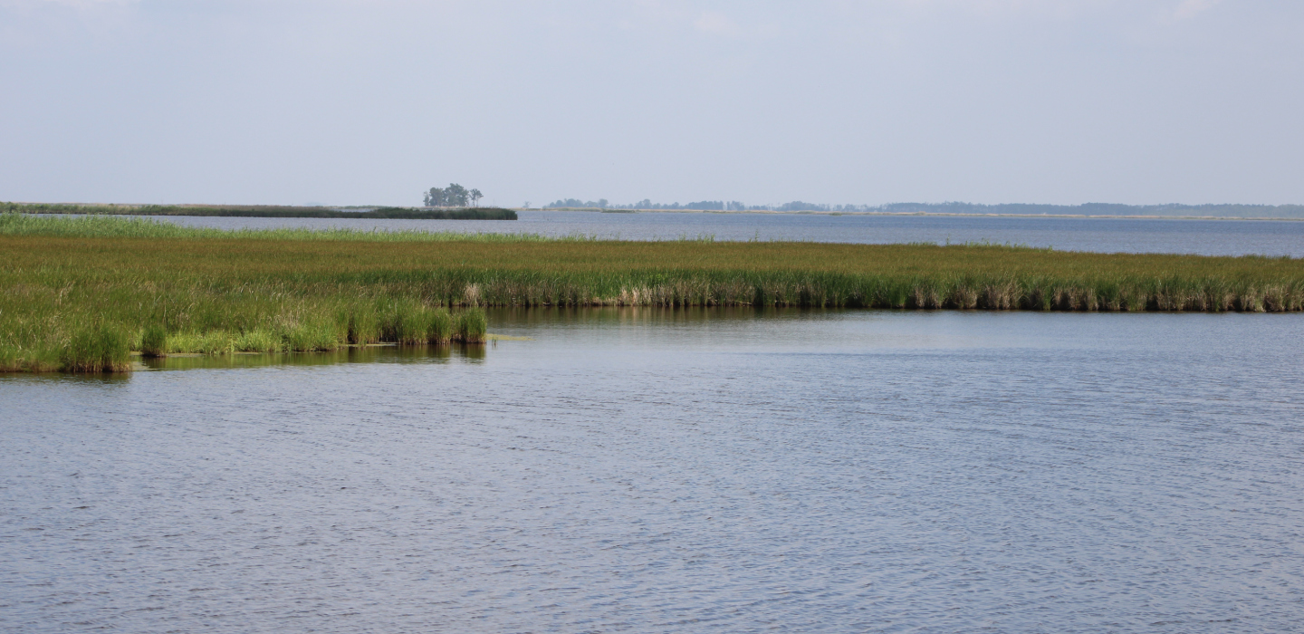 Climate Change and the Chesapeake Bay - The Conservation Fund