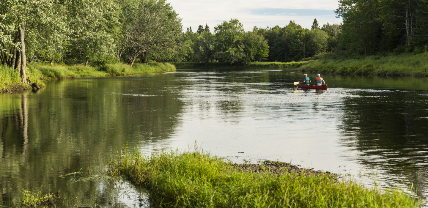 Sustainable Practices at Maine's Reed Forest - The Conservation Fund