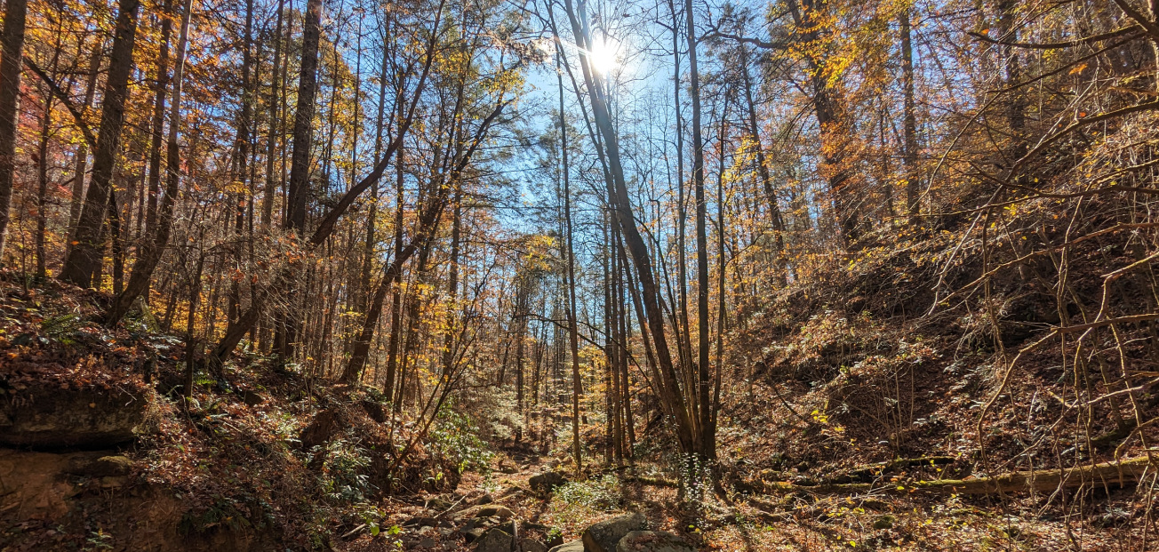 Hoopa Valley Tribe Regains Major Tract of Ancestral Land - The ...