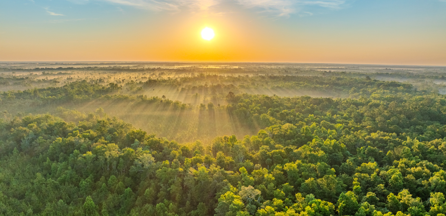 What We Do - The Conservation Fund